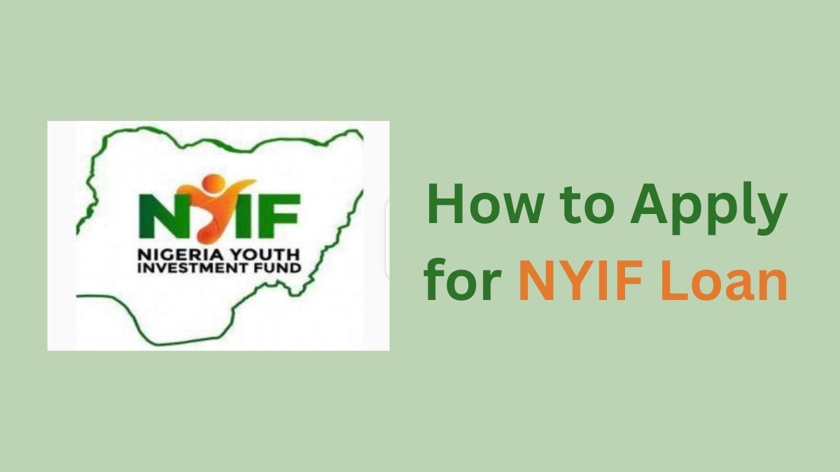 NYIF Portal 2025: Login, Loan Approval Status, More - 9pay