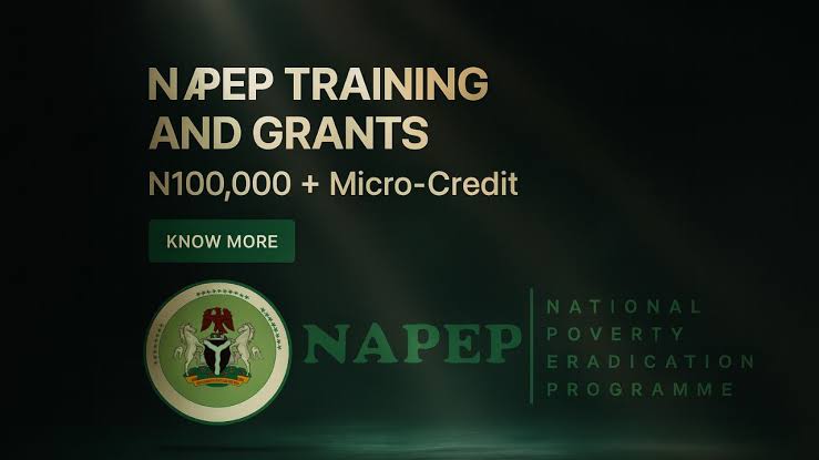 How to Apply for NAPEP Training N100 000 Grant - 9pay